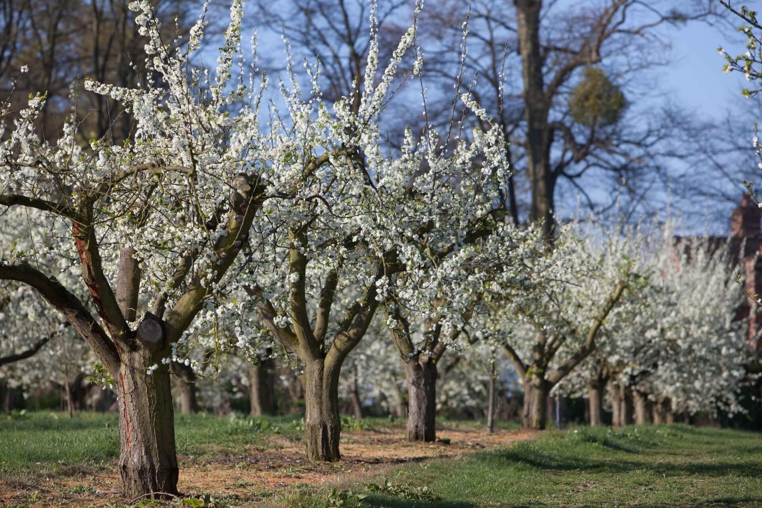 Coach Tours - Visit Evesham