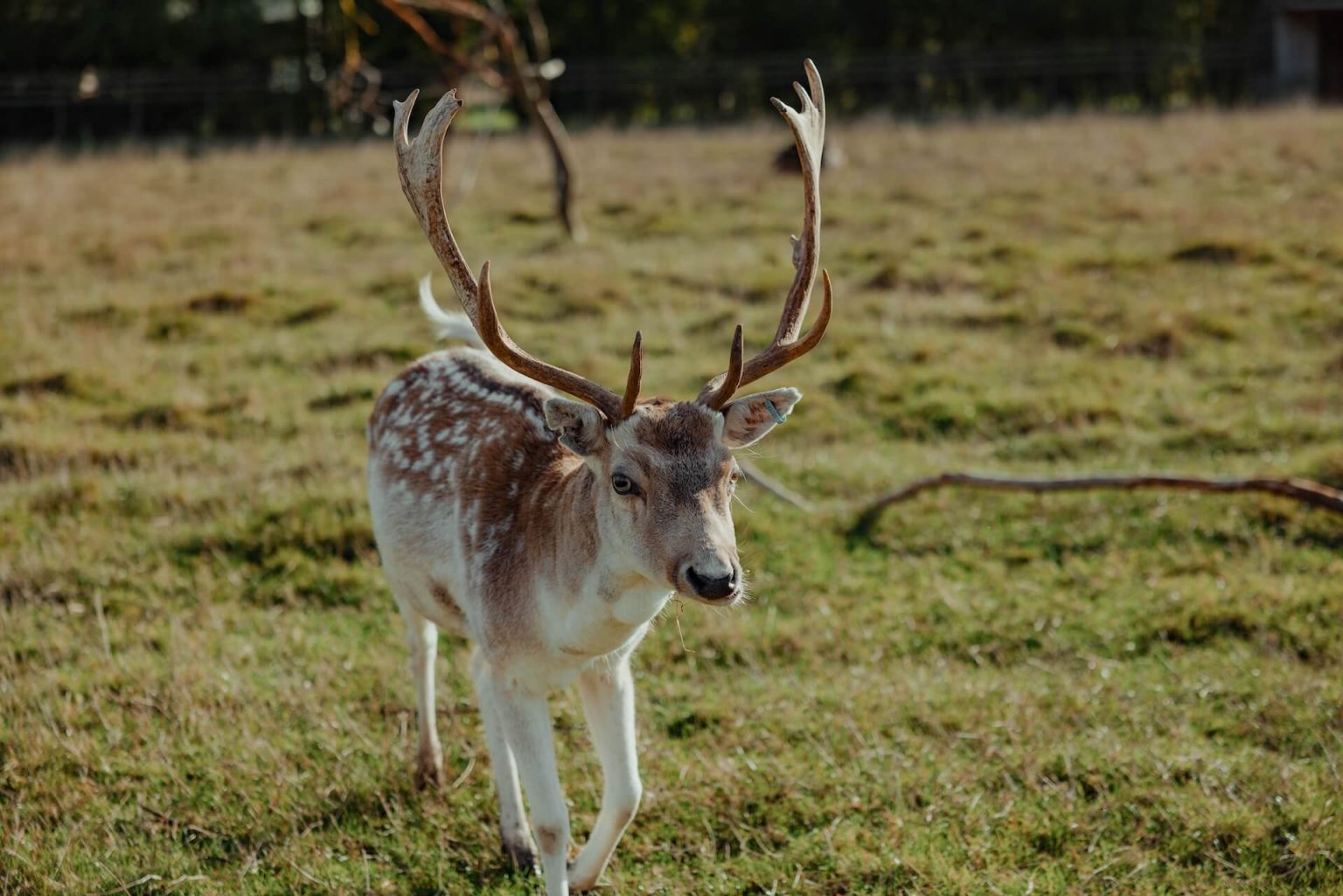 All Things Wild - Visit Evesham
